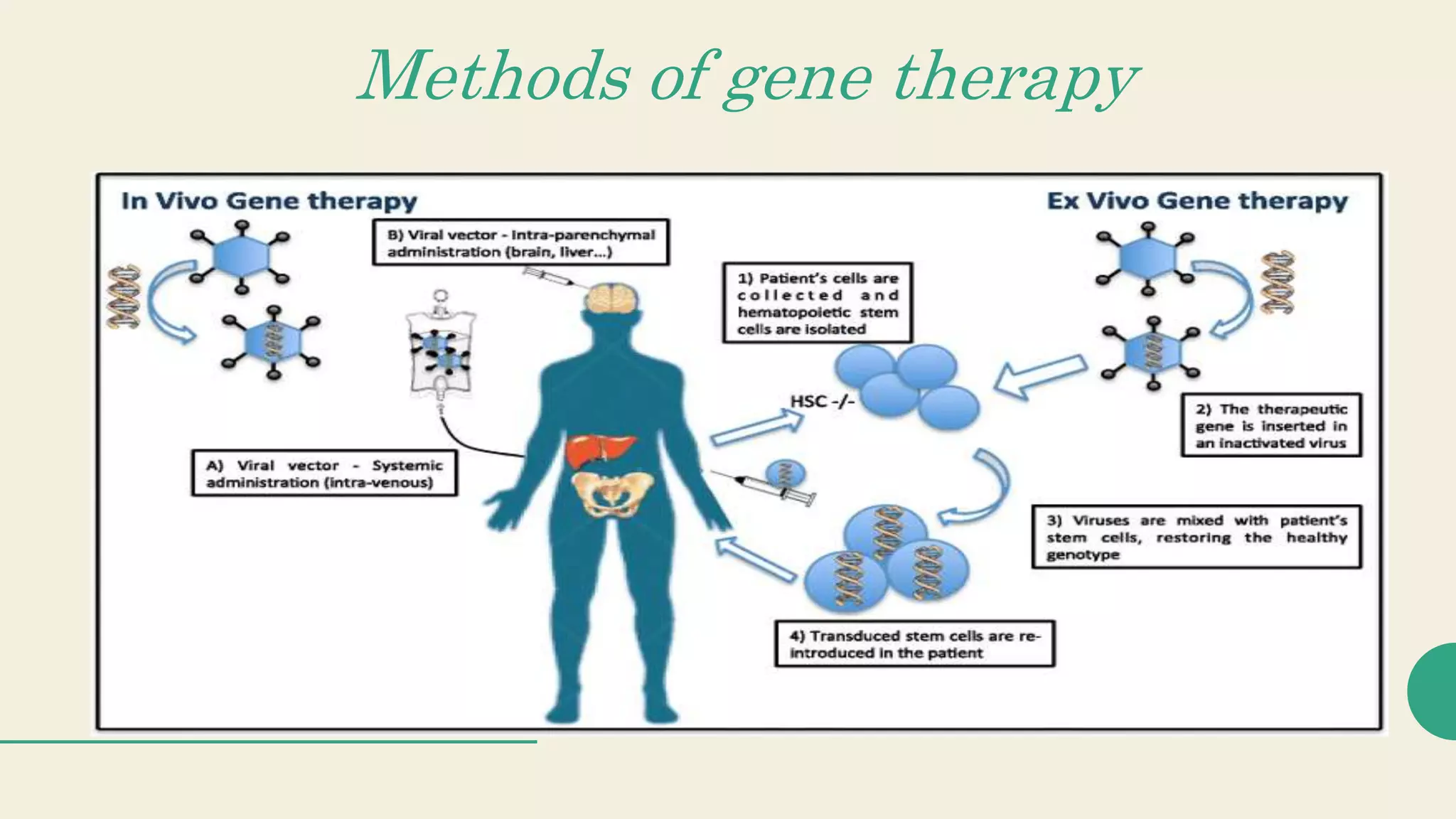 Gen therapy | PPTX