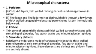 Gentian root.ppt 5th sem.ppt new.ppt