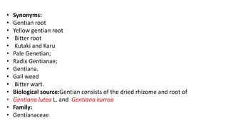 Gentian root.ppt 5th sem.ppt new.ppt