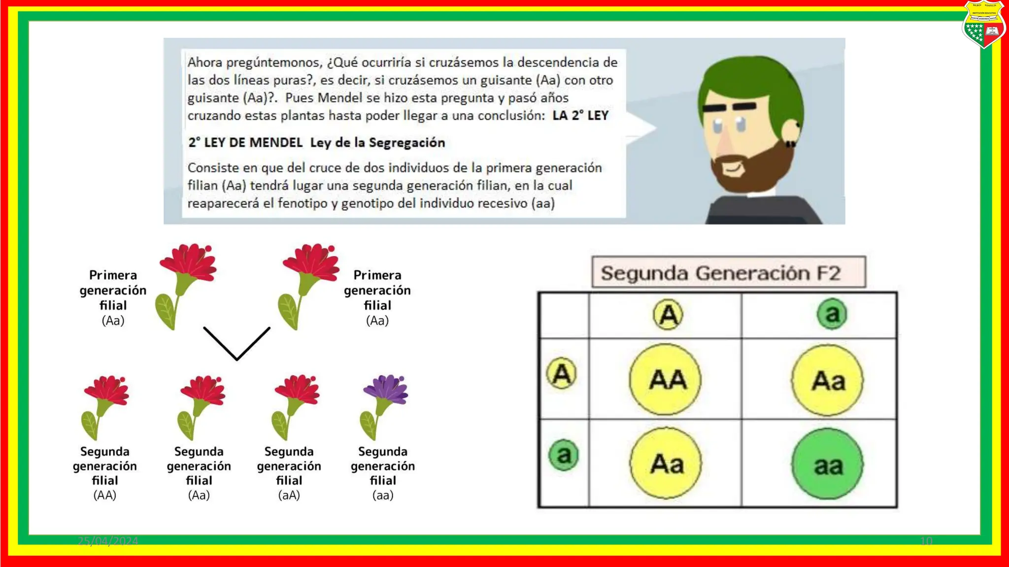 Leyes de Mendel. Genética Mendeliana. Cuadros de Punnet | PPT