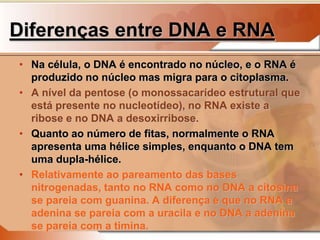 Genética DNA & RNA | PPTX