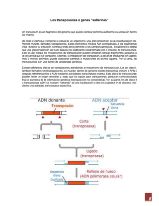 Genética bacteriana | DOCX