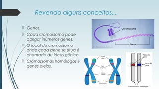 Aula Genética clássica [1ª lei de Mendel] 1° Ano - Ensino Médio - TI | PPT