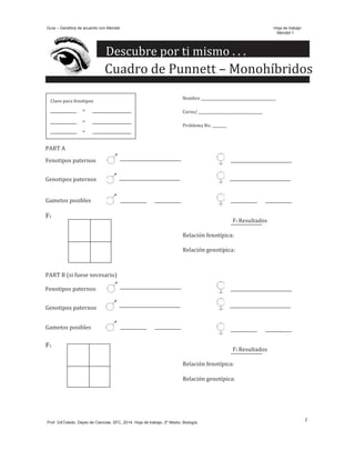 Genética mendeliana. Hoja de trabajo, 2º Medio, Biología | PDF