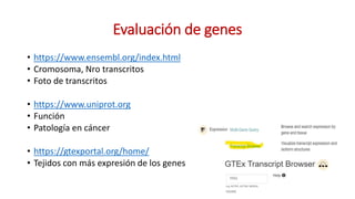 Genética del Cáncer y Genómica de Precisión-02.2024 EJ1 (1).pptx