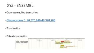 Genética del Cáncer y Genómica de Precisión-02.2024 EJ1 (1).pptx