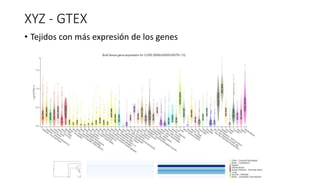 Genética del Cáncer y Genómica de Precisión-02.2024 EJ1 (1).pptx