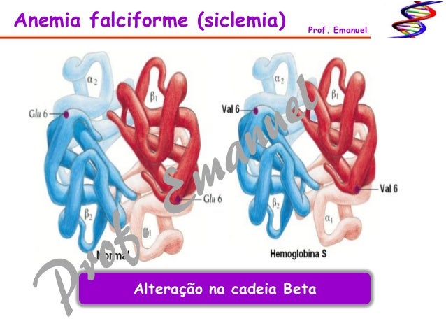 Genética e doenças