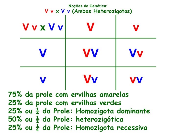 Genética introdução