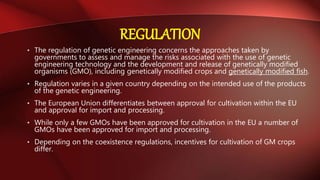 Gentically modified organisms | PPT