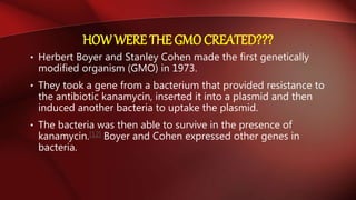 Gentically modified organisms | PPT