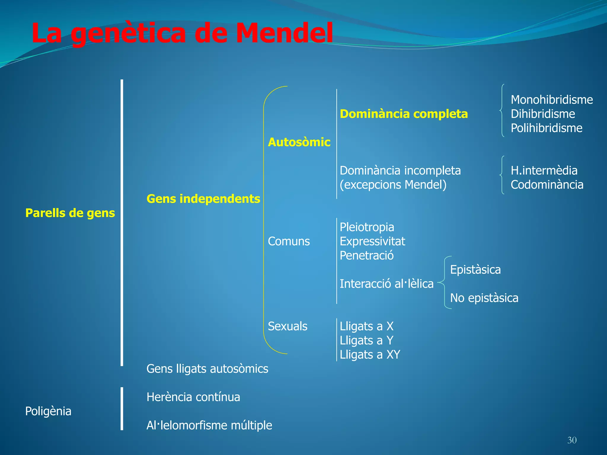 Genètica mendeliana | PPTX