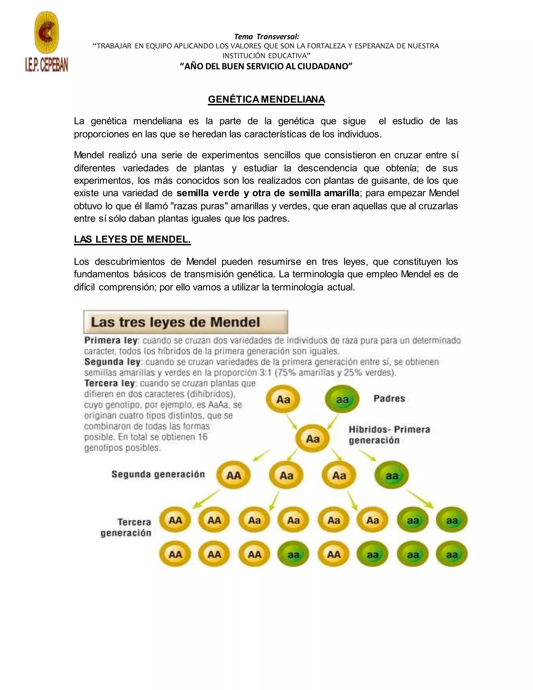 Genética mendeliana | DOCX