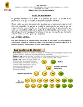 Genética mendeliana | DOCX