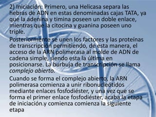 Genética molecular | PPTX