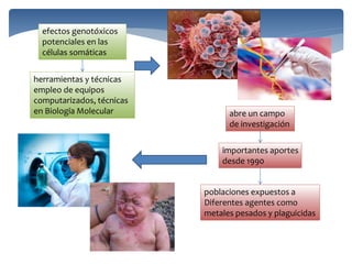 Genética toxicológica | PPTX