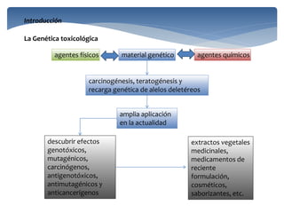 Genética toxicológica | PPTX
