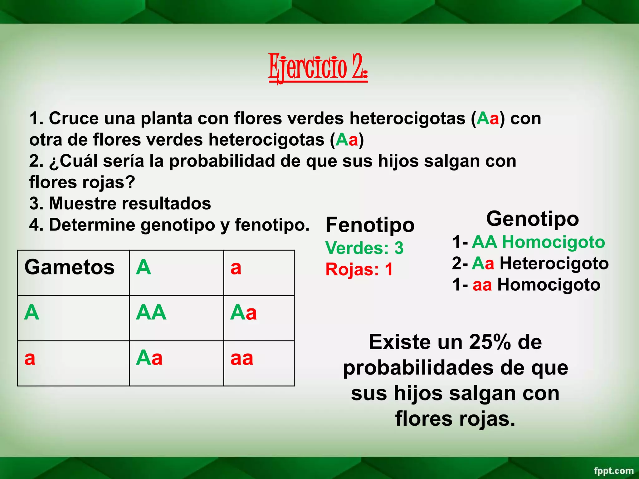 Genética y leyes de Mendel | PPTX