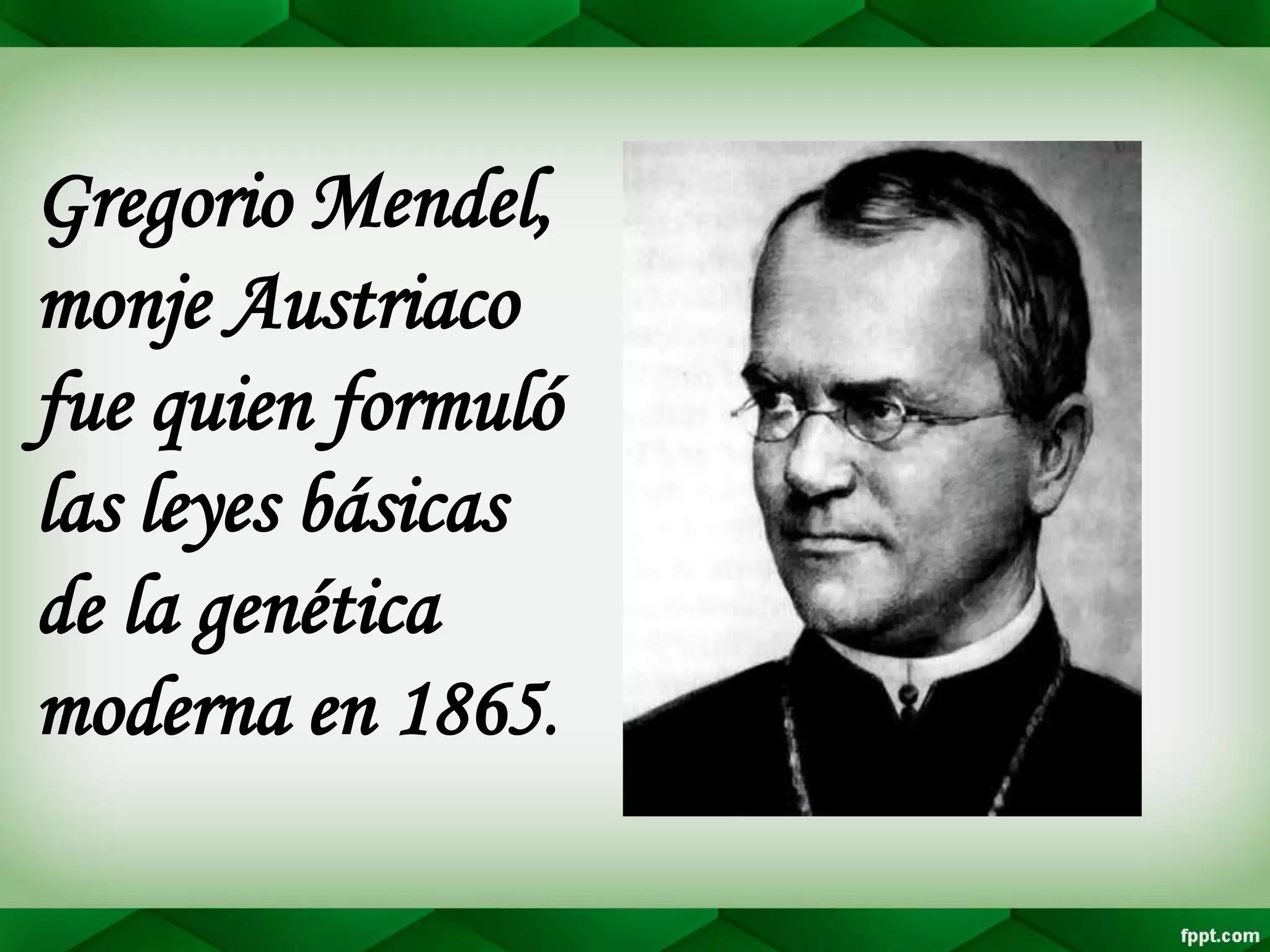 Genética y leyes de Mendel | PPTX