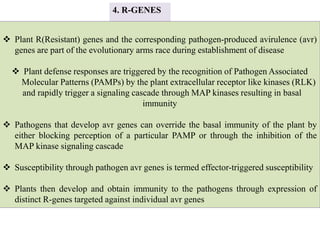 Gentic engineering for disease resistance in crops | PPTX