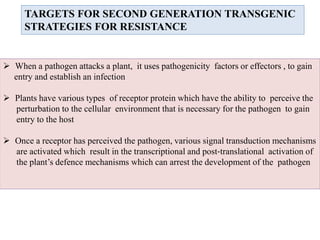 Gentic engineering for disease resistance in crops | PPTX