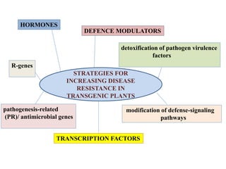 Gentic engineering for disease resistance in crops | PPTX