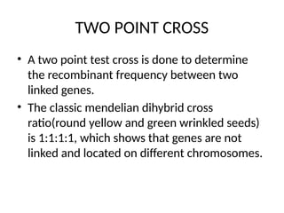 genetics topic on two factor cross and three factor cross | PPTX