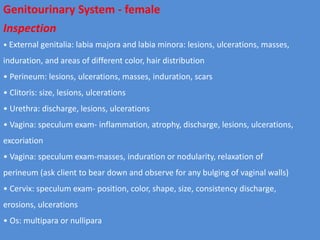 Gentiourinary system ANATOMY AND PHYSIOLOGY & ASSESSMENT | PPTX