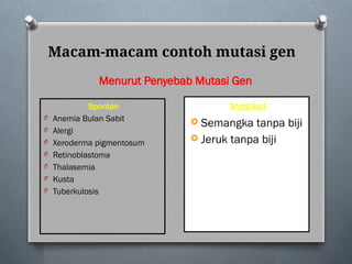 power point contoh mutasi gen kelompok.pptx