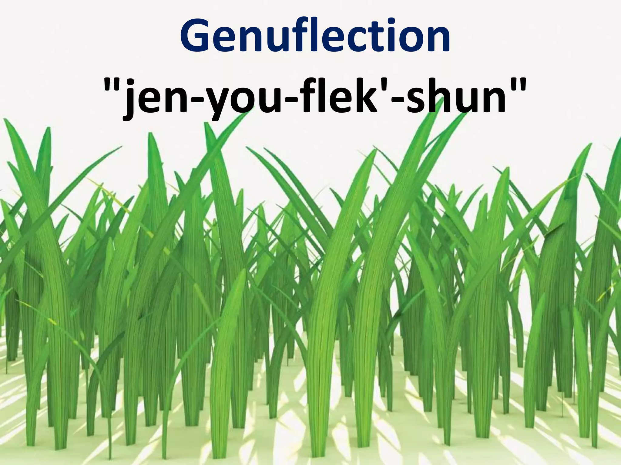 Why/When/How do we Genuflect? | PPT