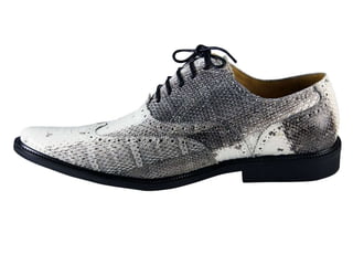 Genuine snake leather shoes issnshoes01 natural | PPSX | Reptiles | Pets