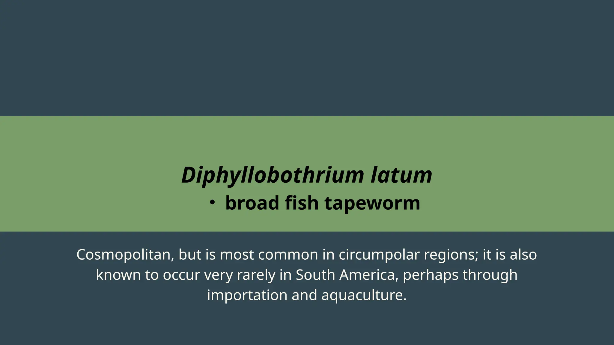 GENUS-Diphyllobothrium_Powerpoint-Presentation-by-Students-Under ...