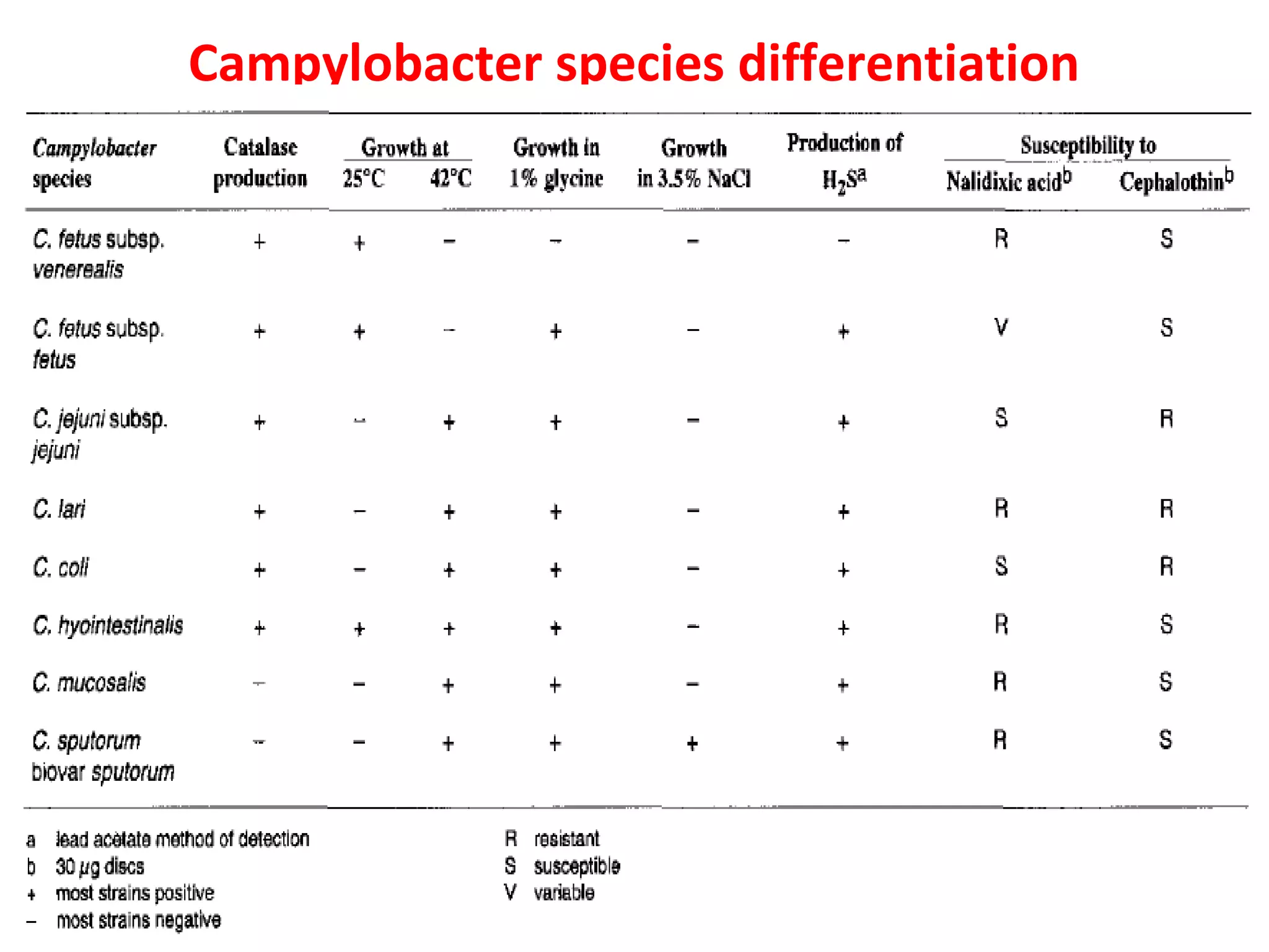 Genus campylobacter | PPT