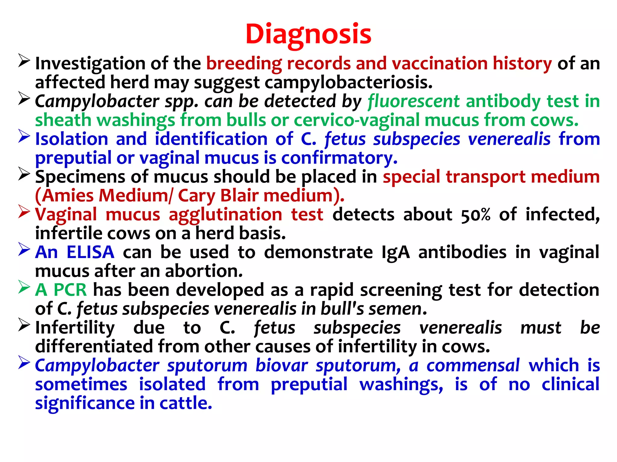 Genus campylobacter | PPT