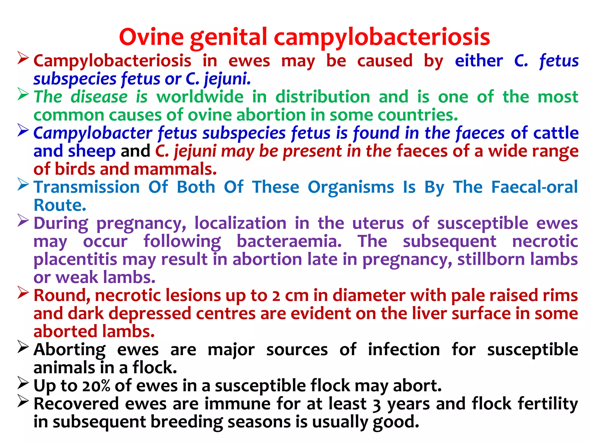 Genus campylobacter | PPT