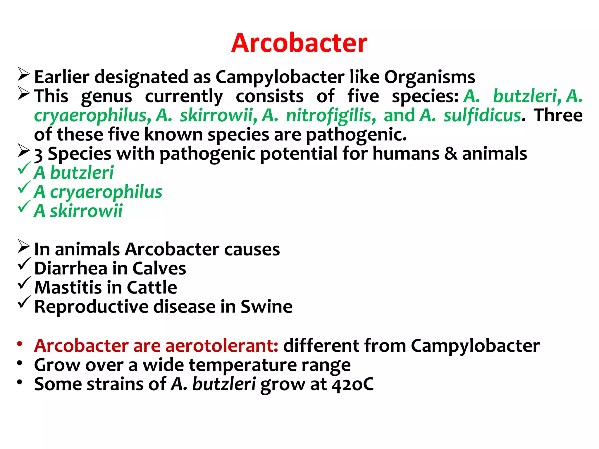 Genus campylobacter | PPT