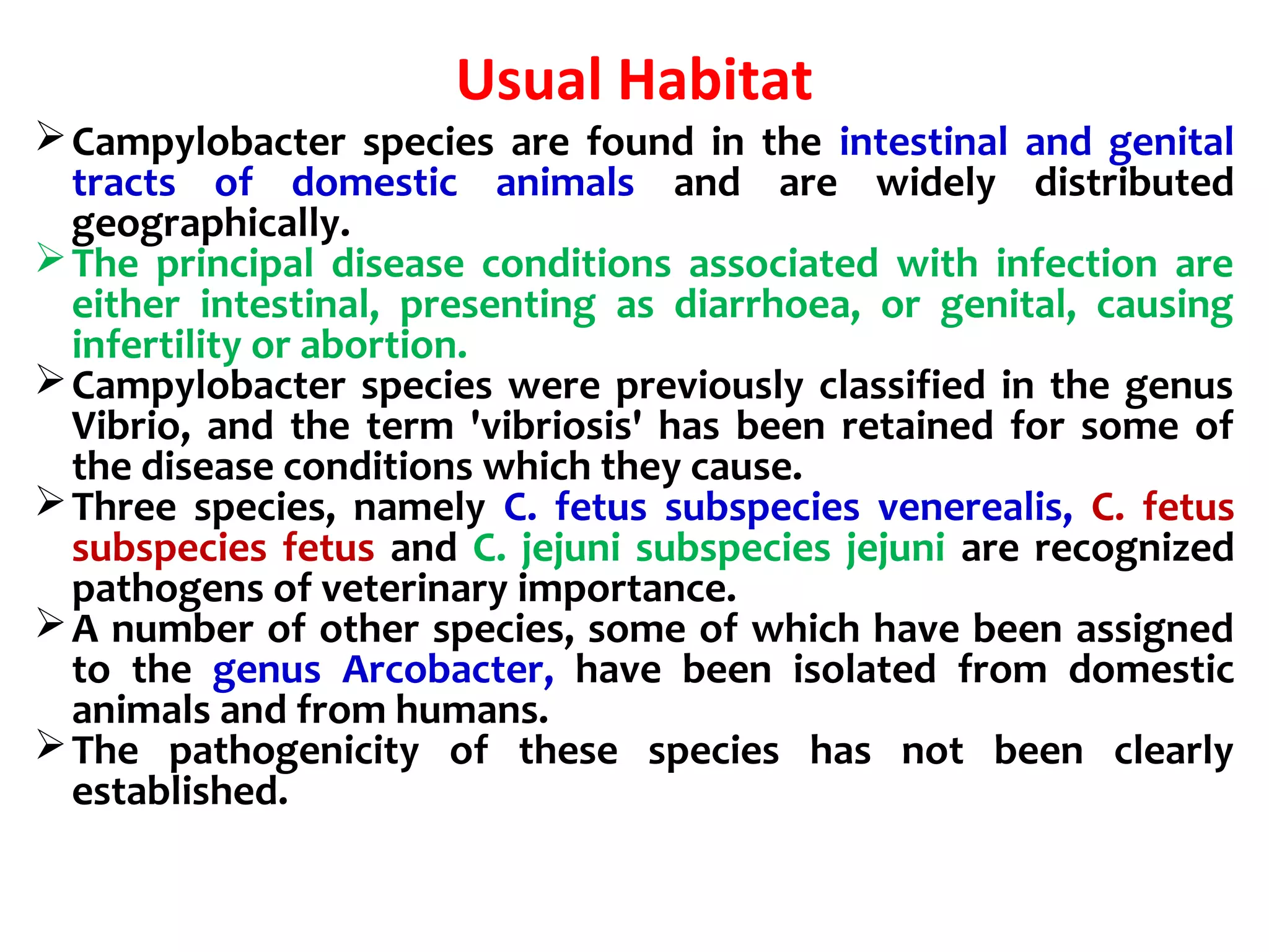 Genus campylobacter | PPT