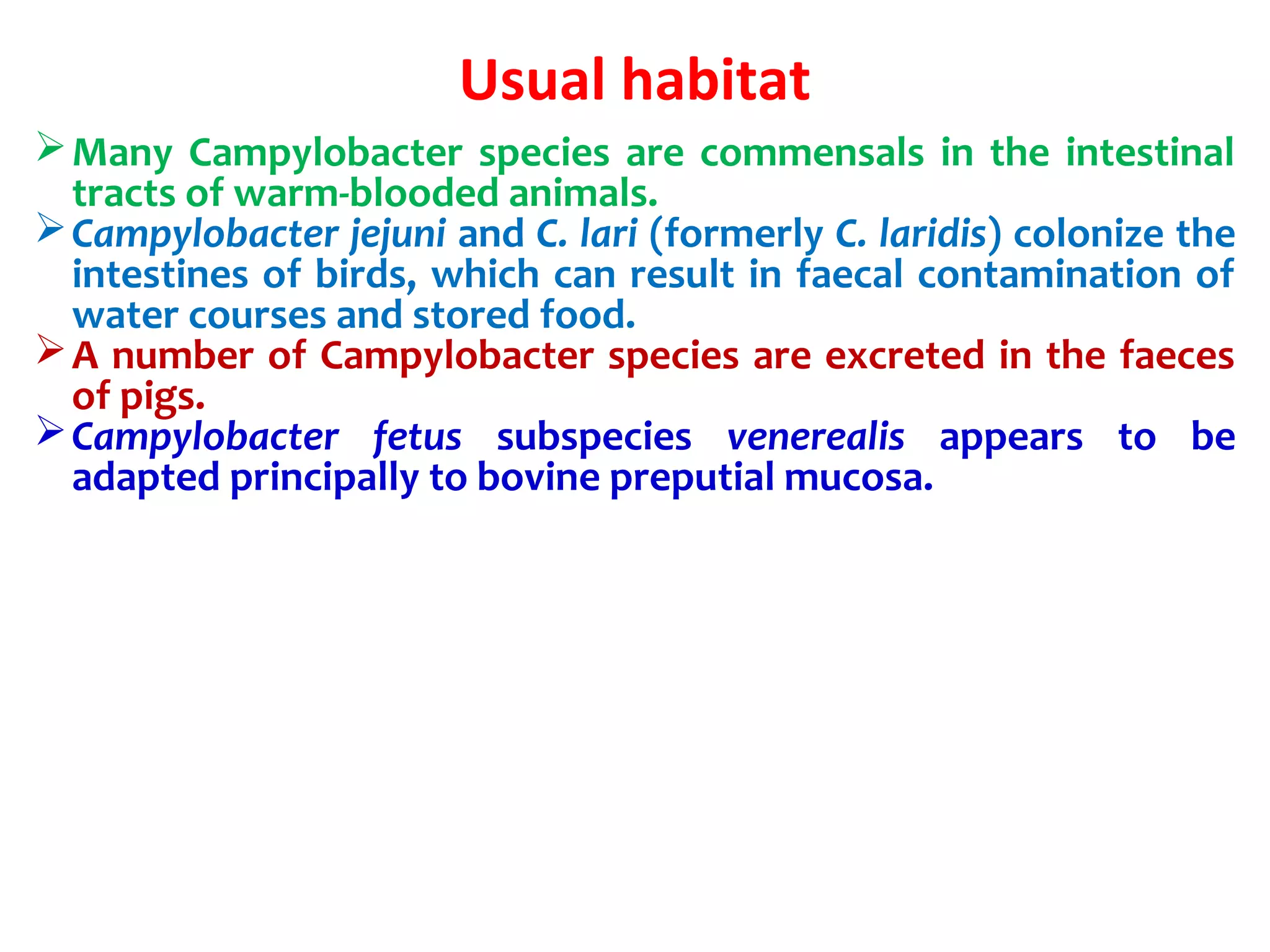 Genus campylobacter | PPT