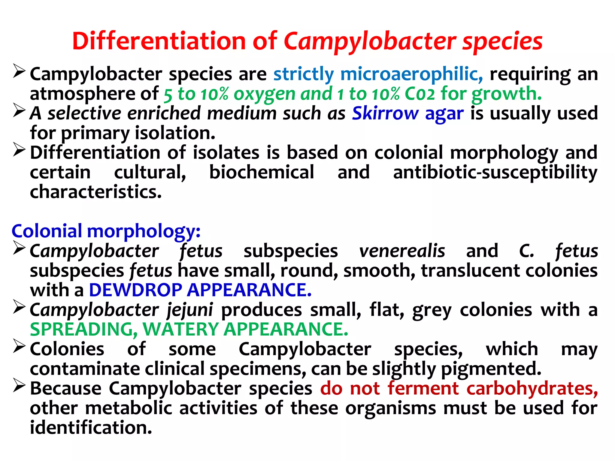 Genus campylobacter | PPT