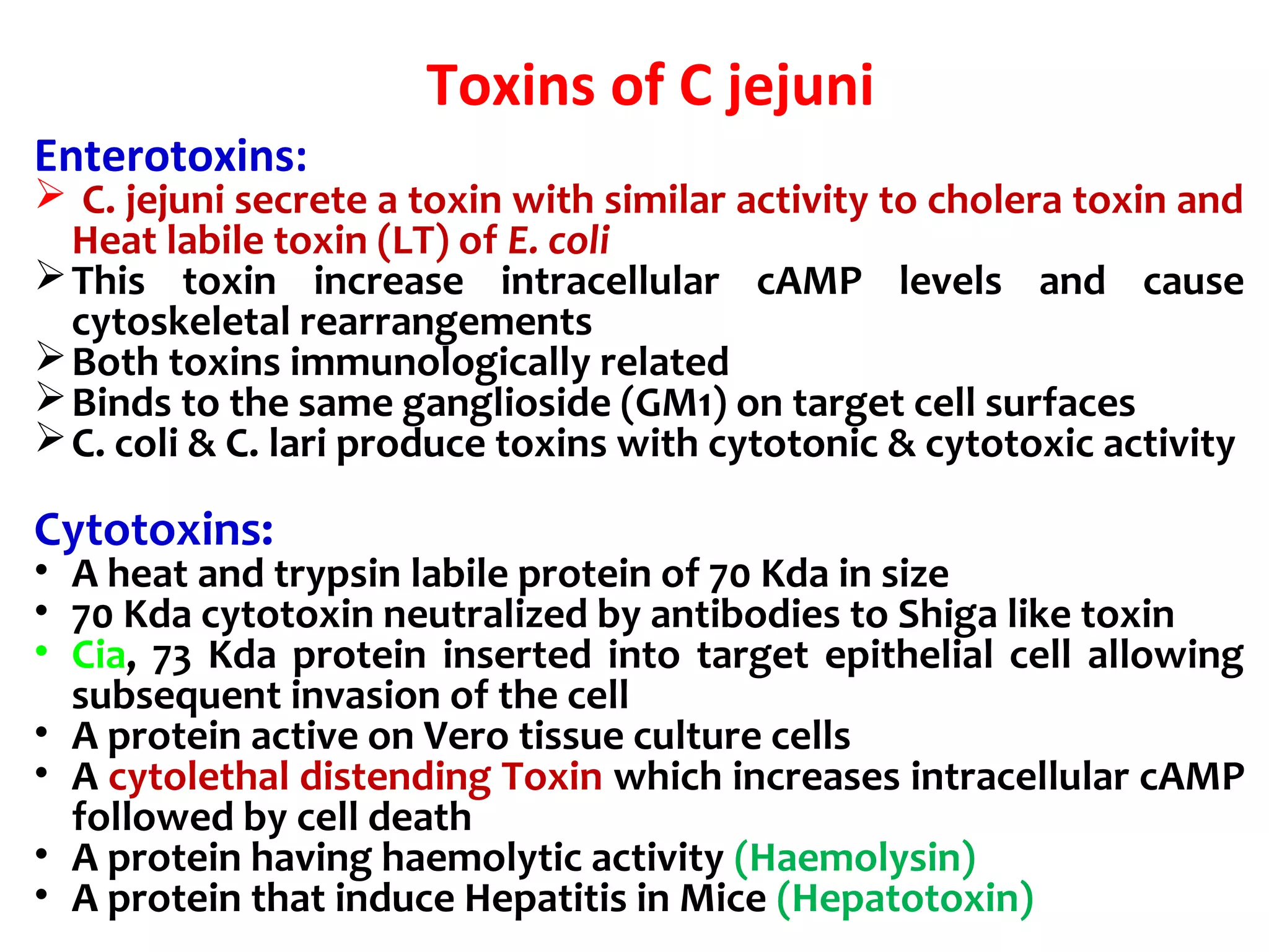 Genus campylobacter | PPT