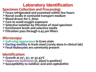 Genus campylobacter | PPT