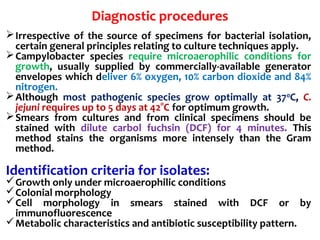 Genus campylobacter | PPT