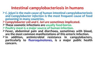 Genus campylobacter | PPT