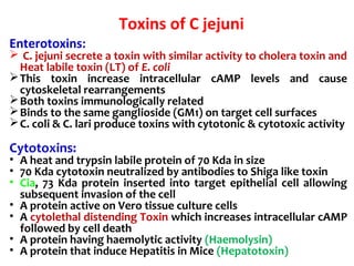 Genus campylobacter | PPT