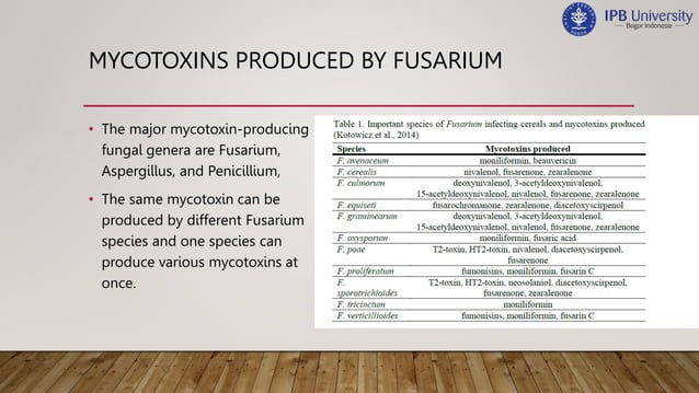 Genus Fusarium: Classification, Morphology and Pathogenesis_Emily.pptx
