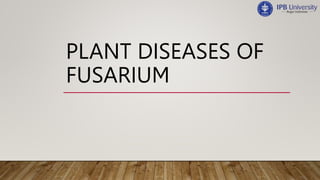 Genus Fusarium: Classification, Morphology and Pathogenesis_Emily.pptx