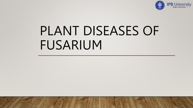 Genus Fusarium: Classification, Morphology and Pathogenesis_Emily.pptx