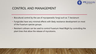 Genus Fusarium: Classification, Morphology and Pathogenesis_Emily.pptx