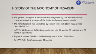 Genus Fusarium: Classification, Morphology and Pathogenesis_Emily.pptx