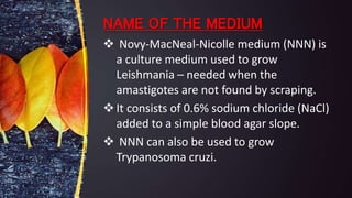 Genus leshmania Culture parasitology | PPTX